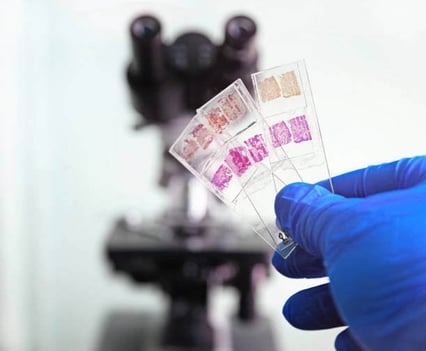 Incubators | Lab Equipment | Thermoline Scientific